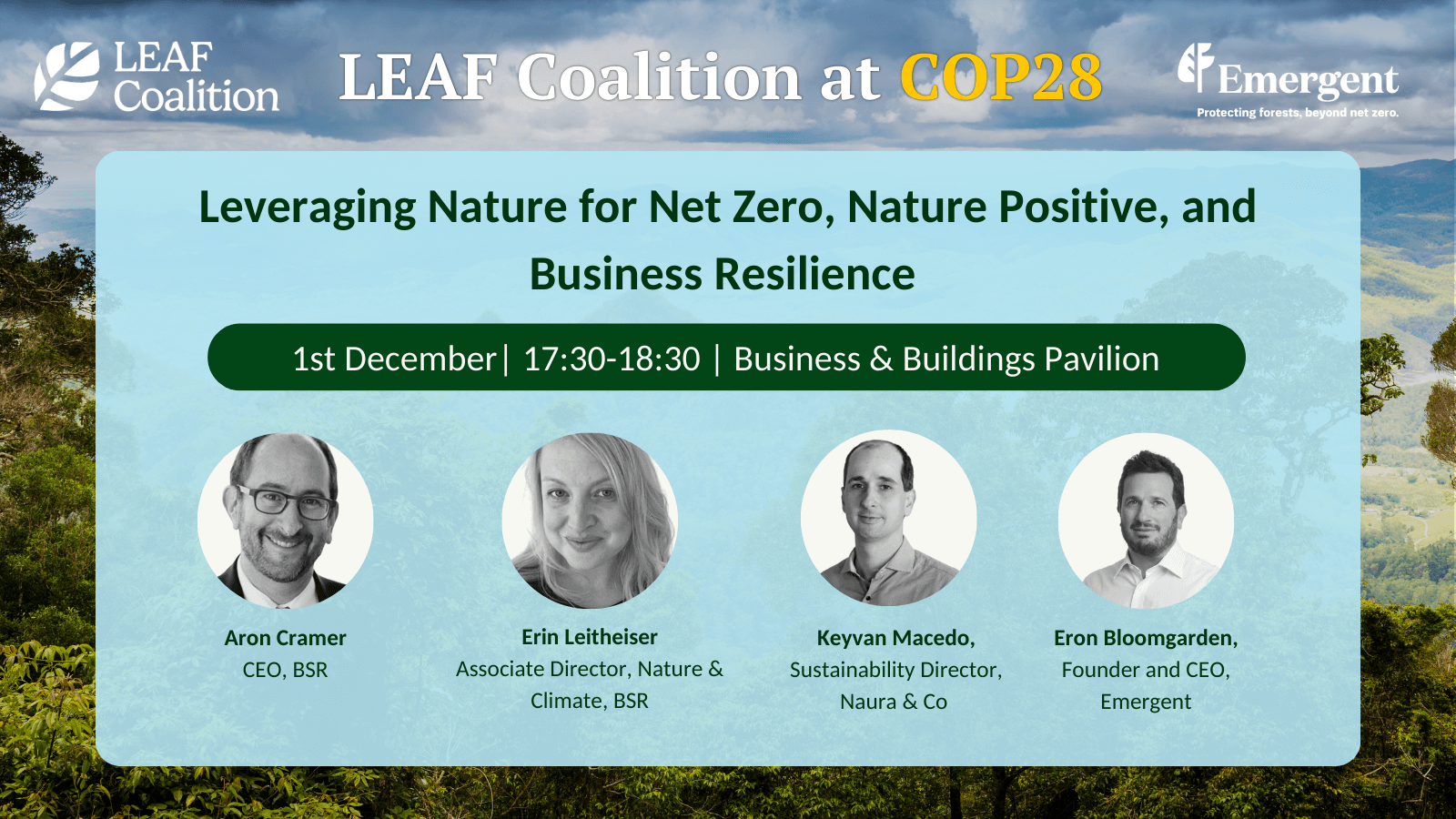 The LEAF Coalition at COP28